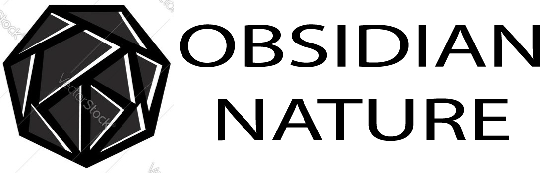 Login – Obsidian Nature Shop